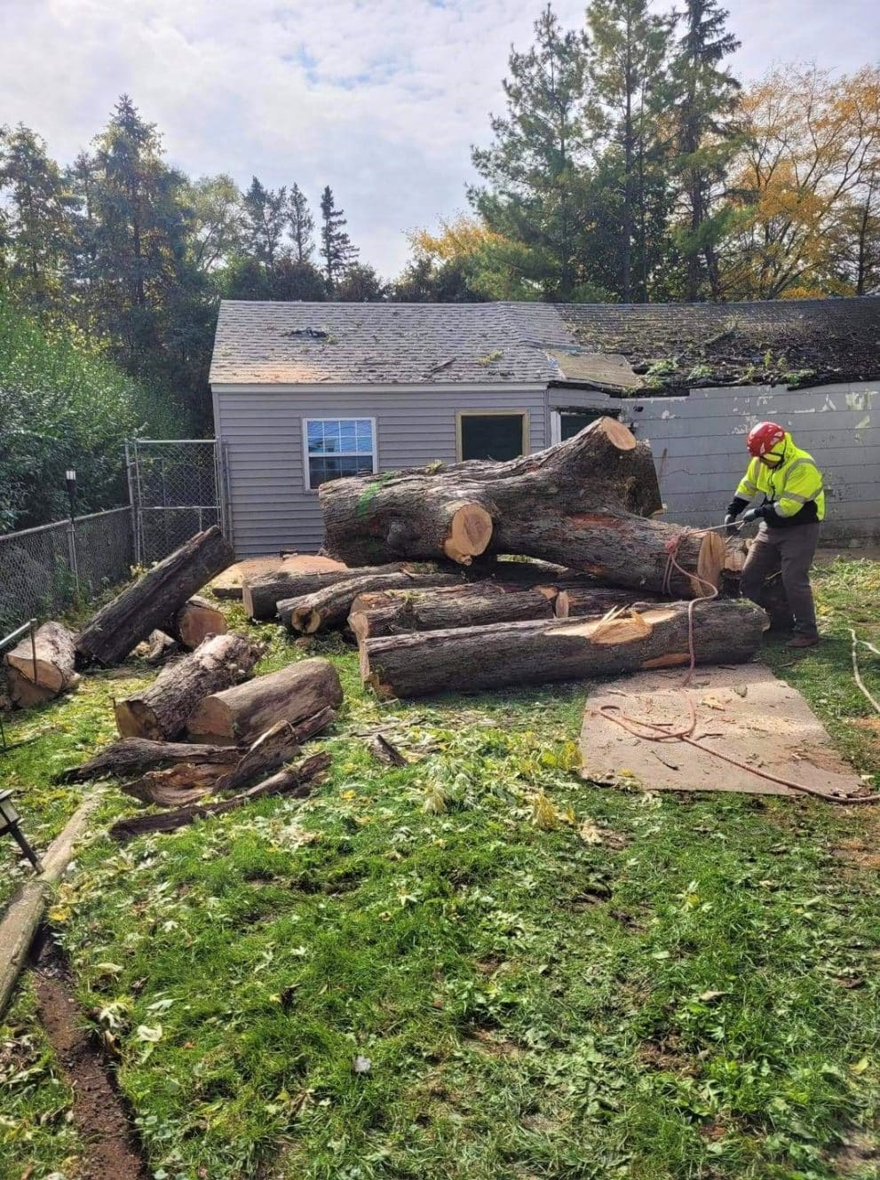 Your Kenosha Tree Care Company - BP Tree Services